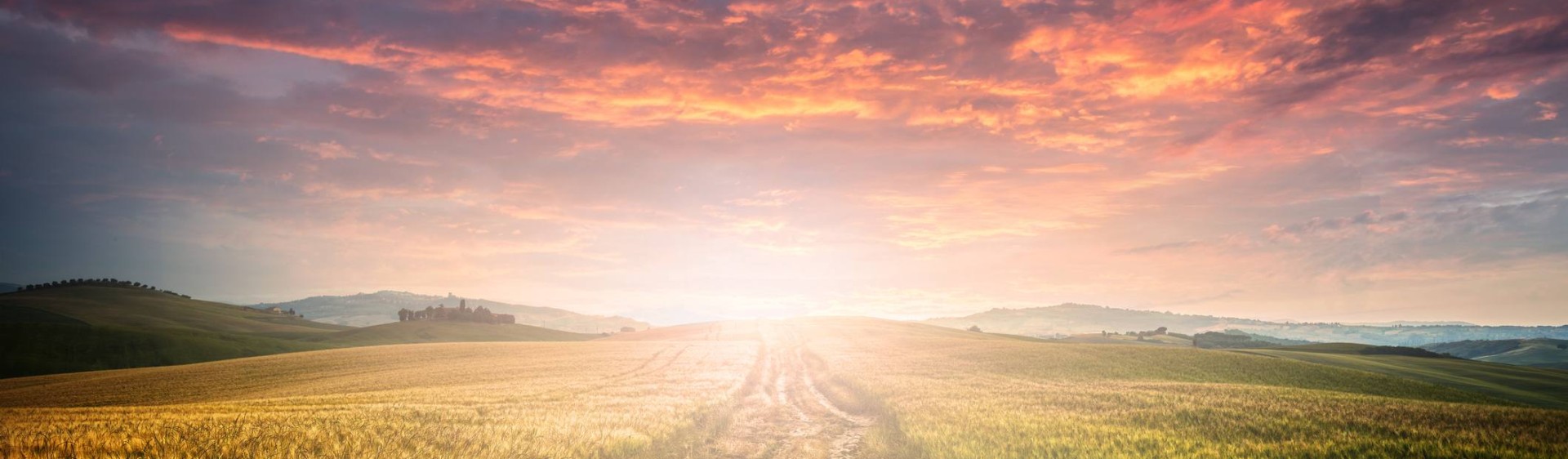 Renew Your Vision for the New Year - Center for Total Eye Care